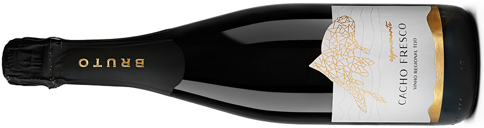 Adega de Almeirim - A Arte da Vinificação Ribatejana, desde 1958